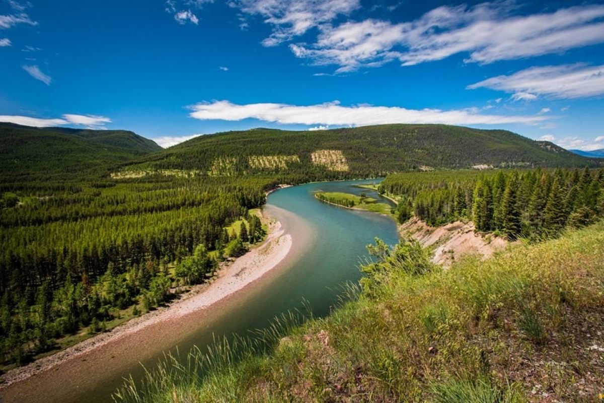 South Fork of the Flathead River - Montana Fly Fishing Experience